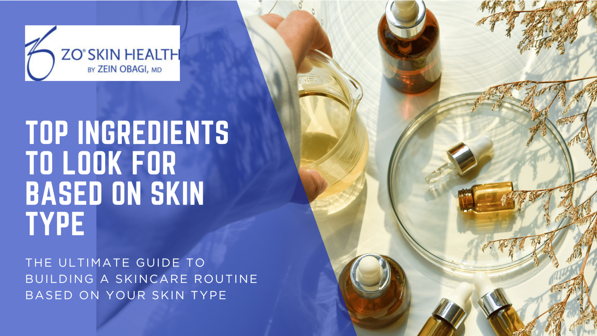 Top Ingredients to Look For Based on Skin Type - DermaSpalogy